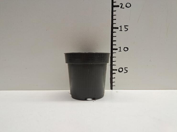 Zeer mooie partij zwarte 0,42 liter / 9,5 cm (10 VOL) van Krimpen ...